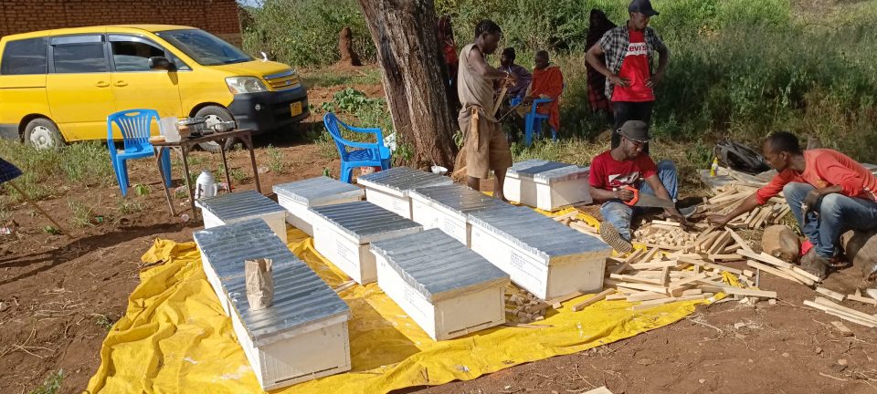 Supporting Hadza Beekeepers in Domanga Village. – Savannah Vision tz